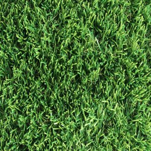 AreaGroup – Votre spécialiste des espaces verts